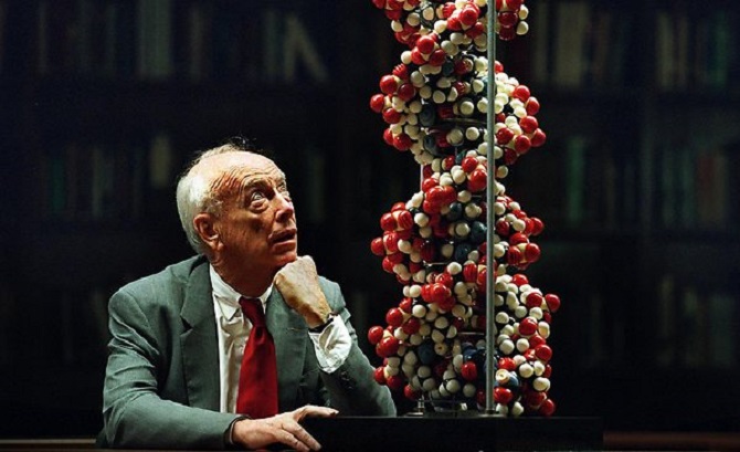 From the double helix to CRISPR: Watson updates his genetic revolution ...