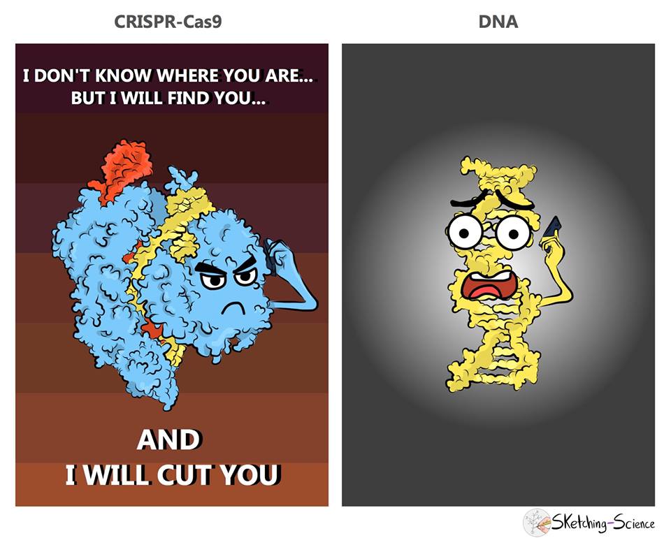 CRISPR in 5 cartoons | CRISPeR FRENZY