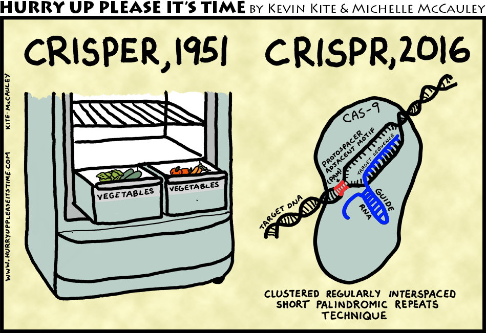 CRISPR in 5 cartoons | CRISPeR FRENZY