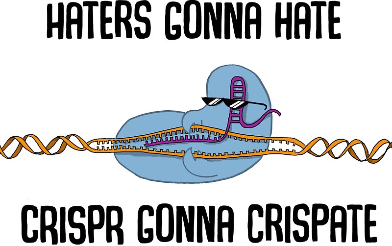 CRISPR in 5 cartoons | CRISPeR FRENZY