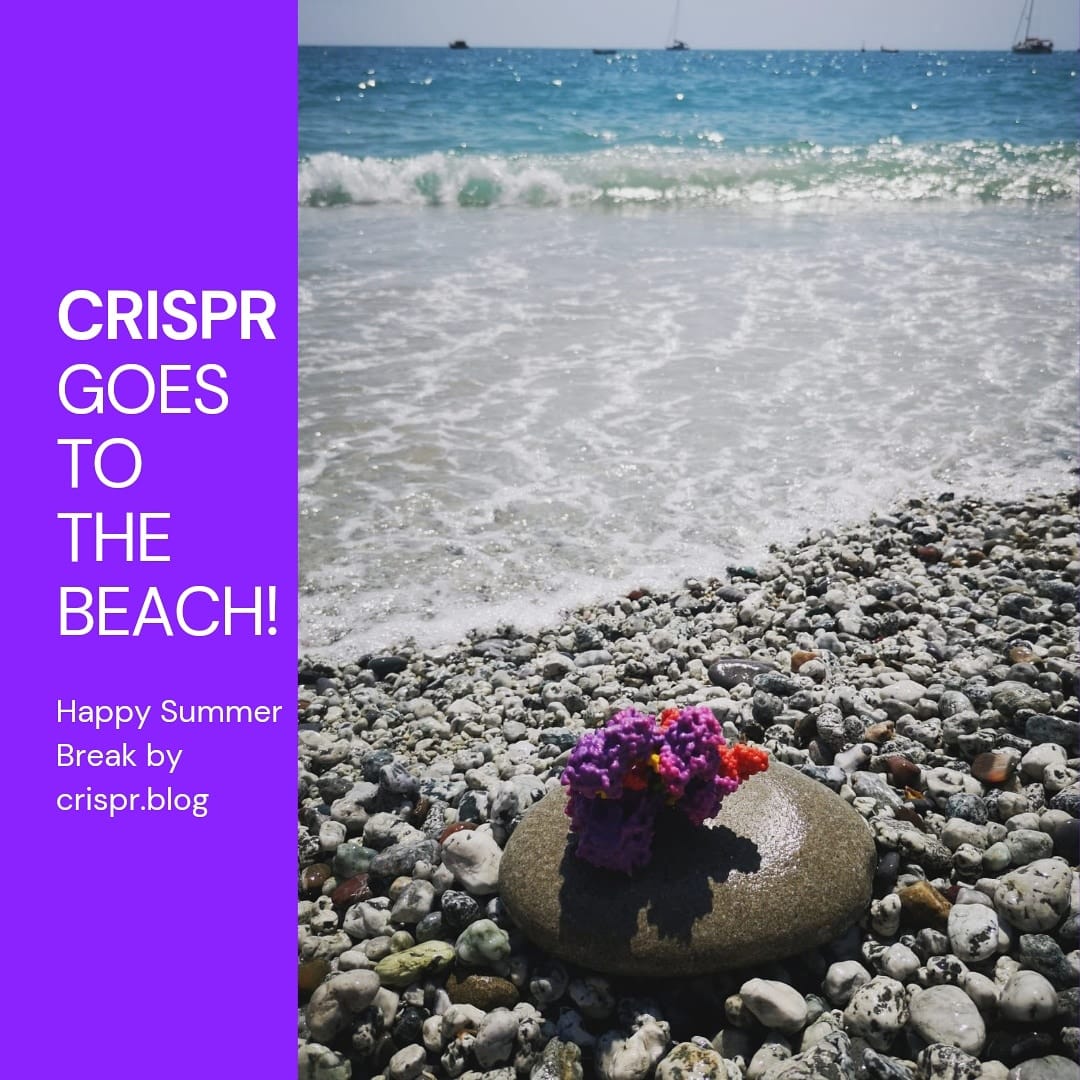 See you in September with fresh CRISPR news! | CRISPeR FRENZY