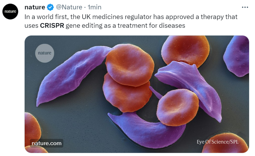 First reactions to the first CRISPR therapy! | CRISPeR FRENZY