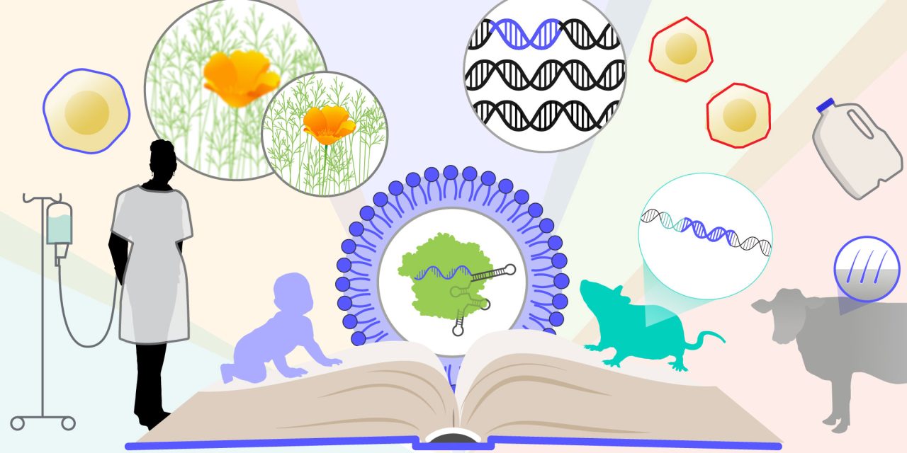 CRISPR ethics for everyone | CRISPeR FRENZY